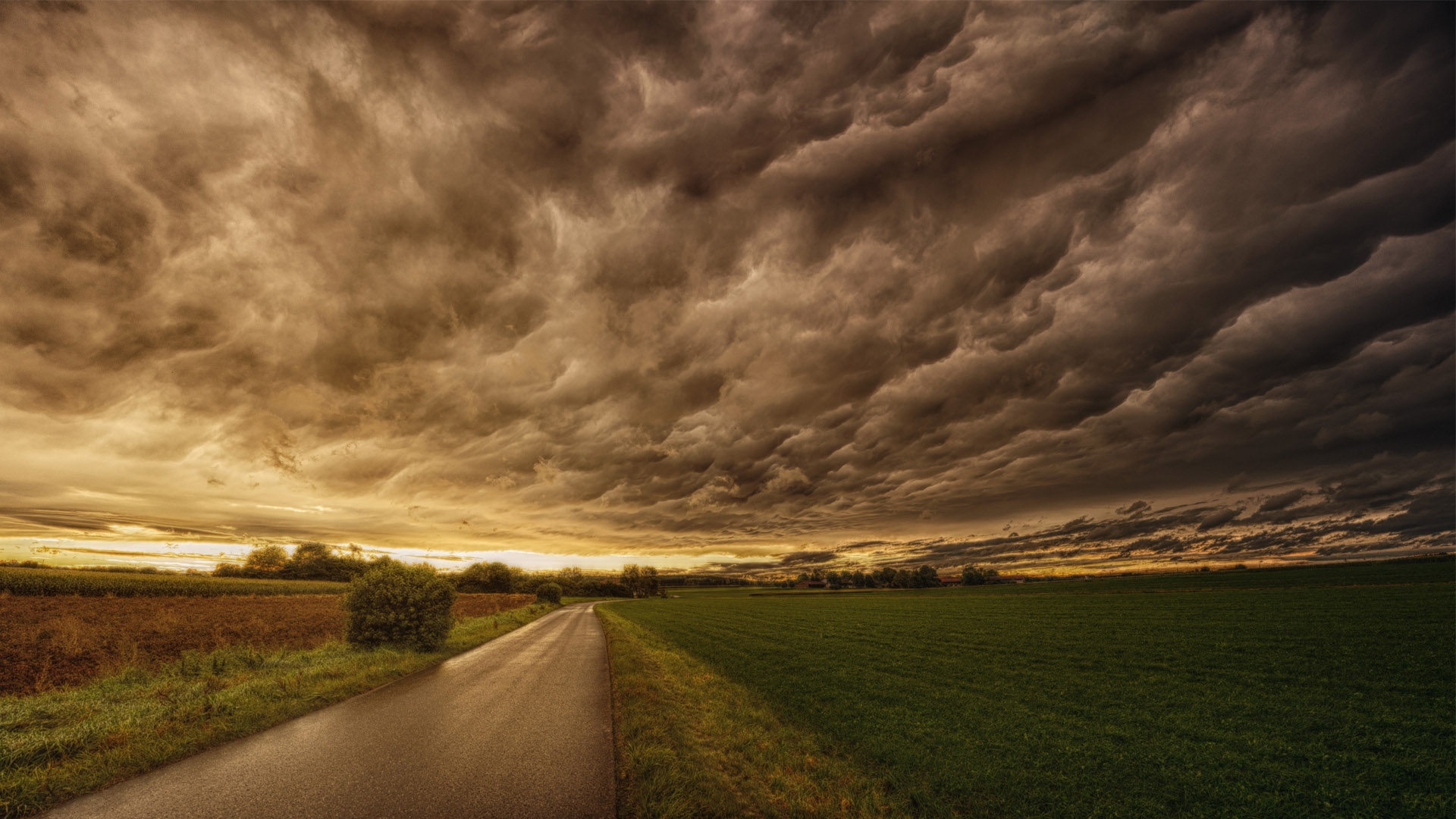 Weathering the Storm - Metric Marketing